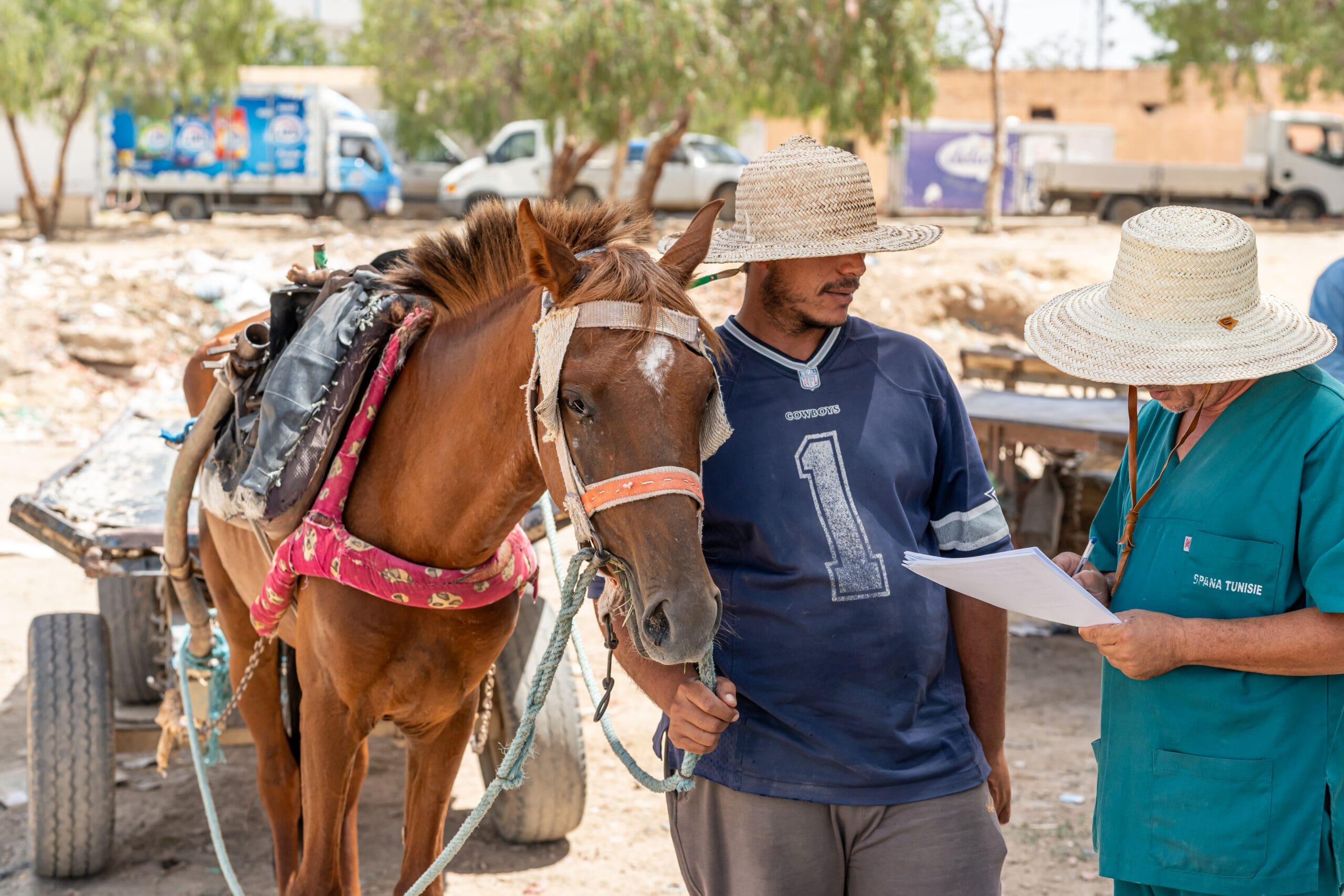 SPANA is a sight for Ziad’s sore eyes - SPANA Australia