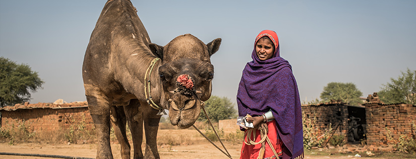 Bitoo’s life-threatening infection | SPANA