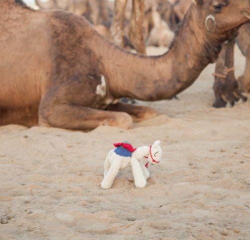 Big Knit: Wadh's Tale And Our Camel Pattern | SPANA