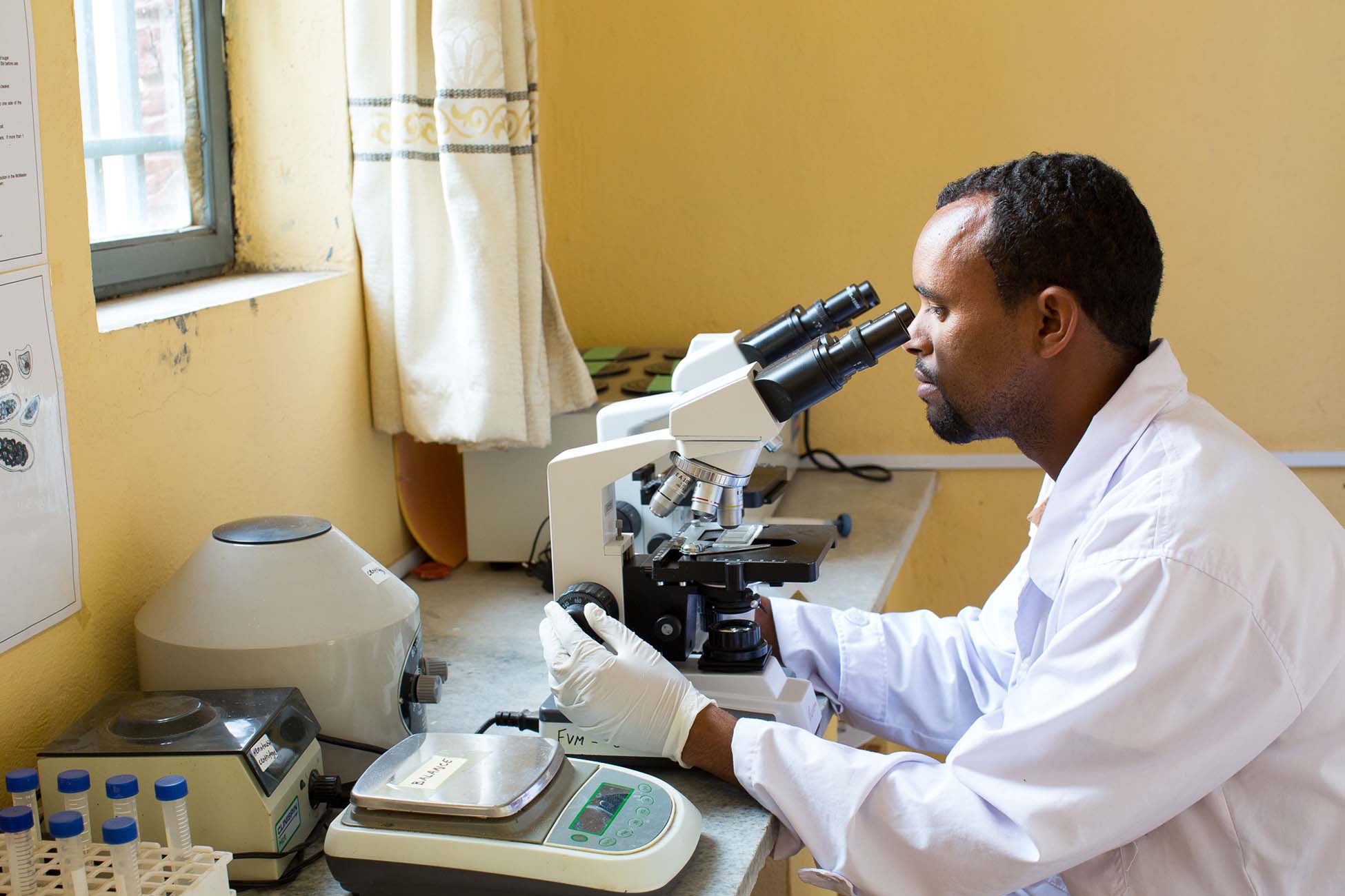 Discover Our Veterinary Research Work | SPANA