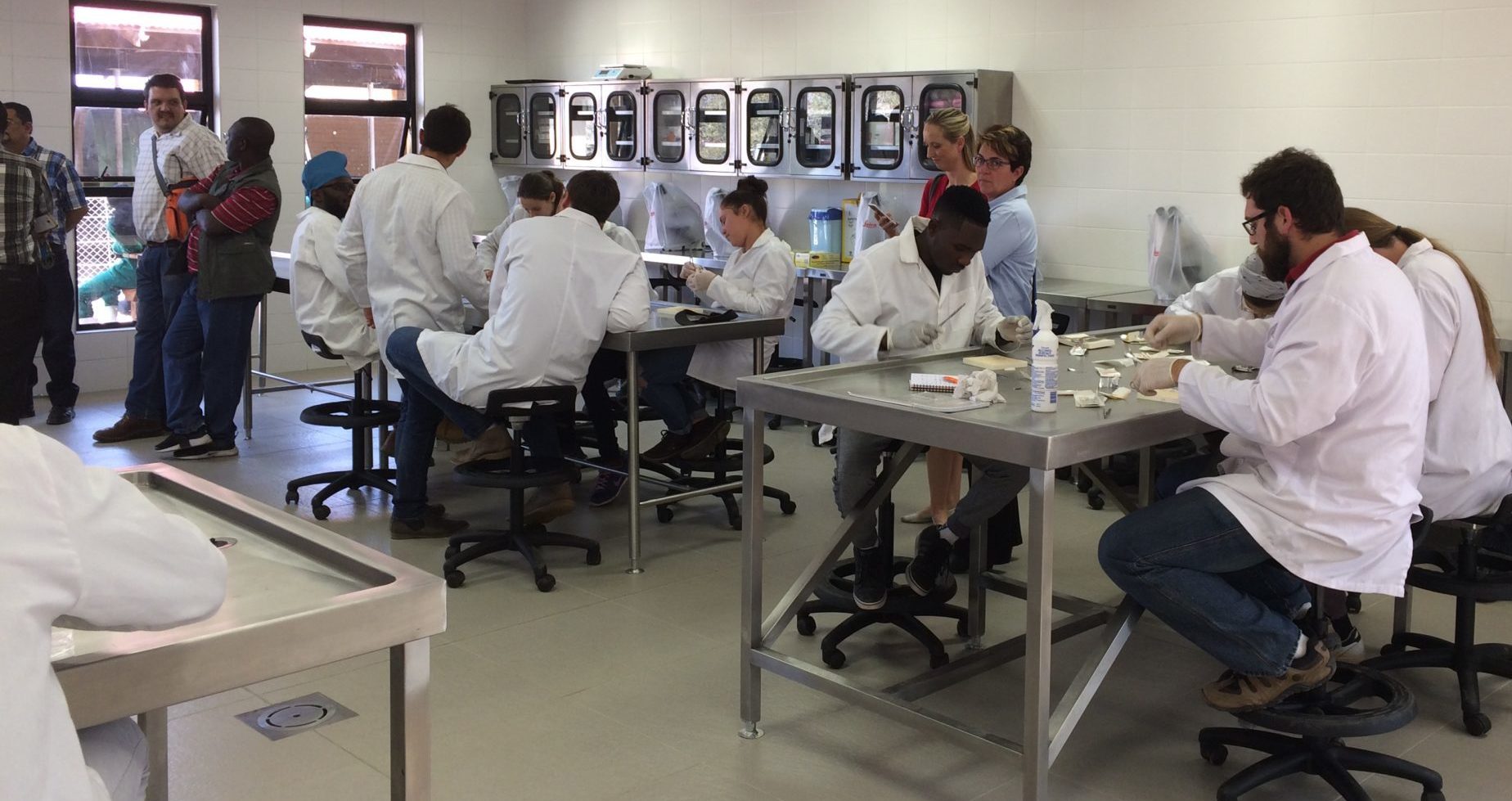 Helping Working Animals in Namibia | SPANA