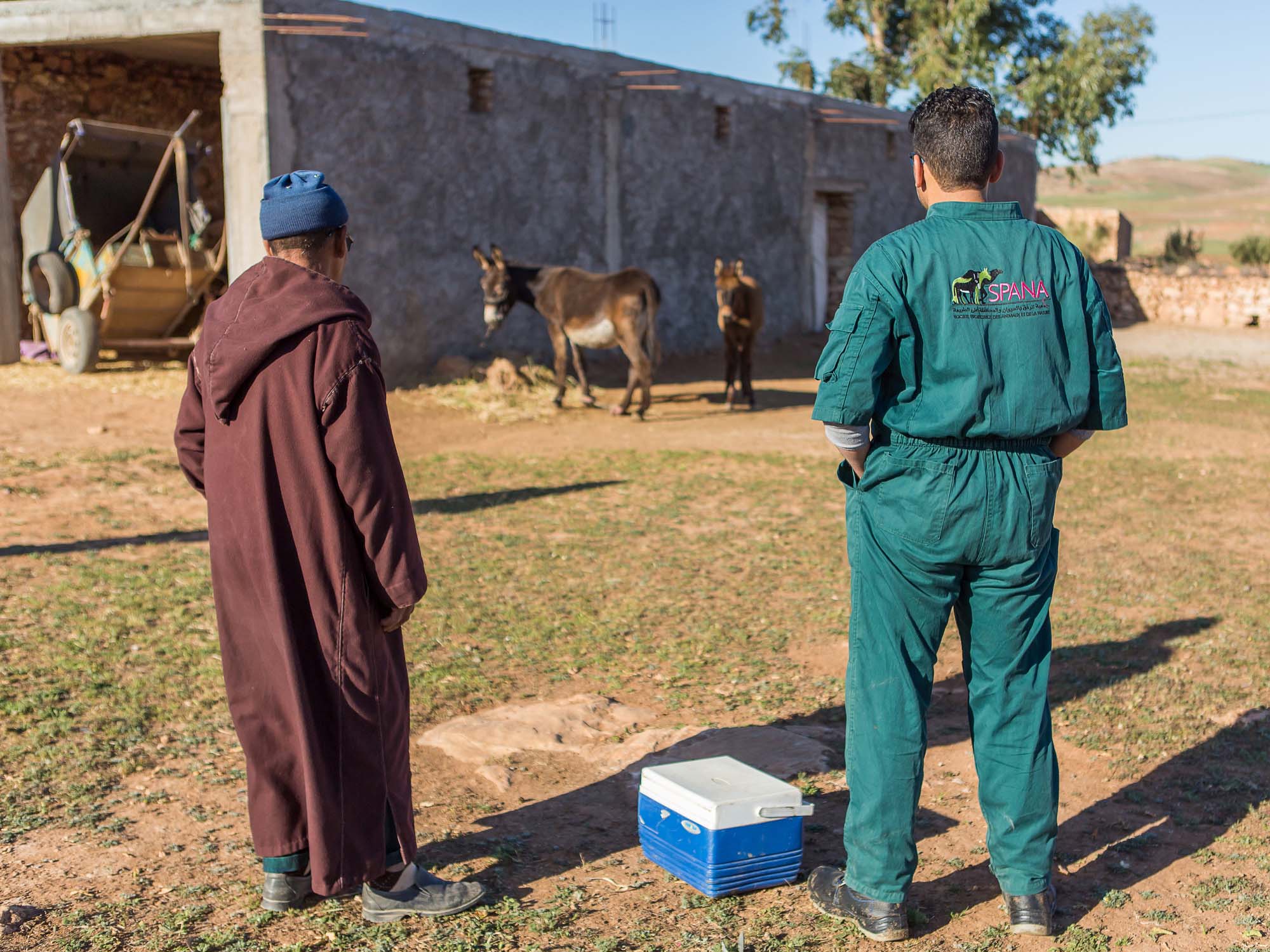 Meet Our Charity Management Team | SPANA