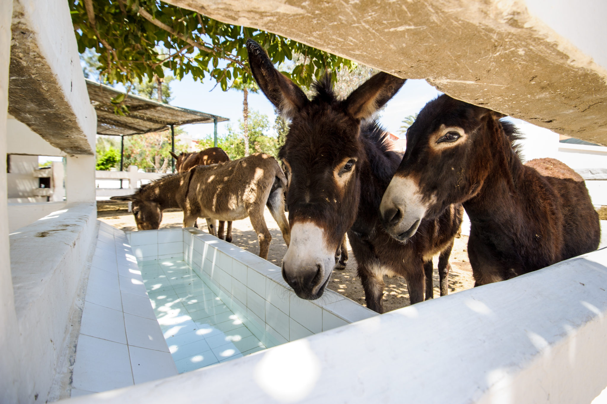 A year to remember: 2019 finances | SPANA