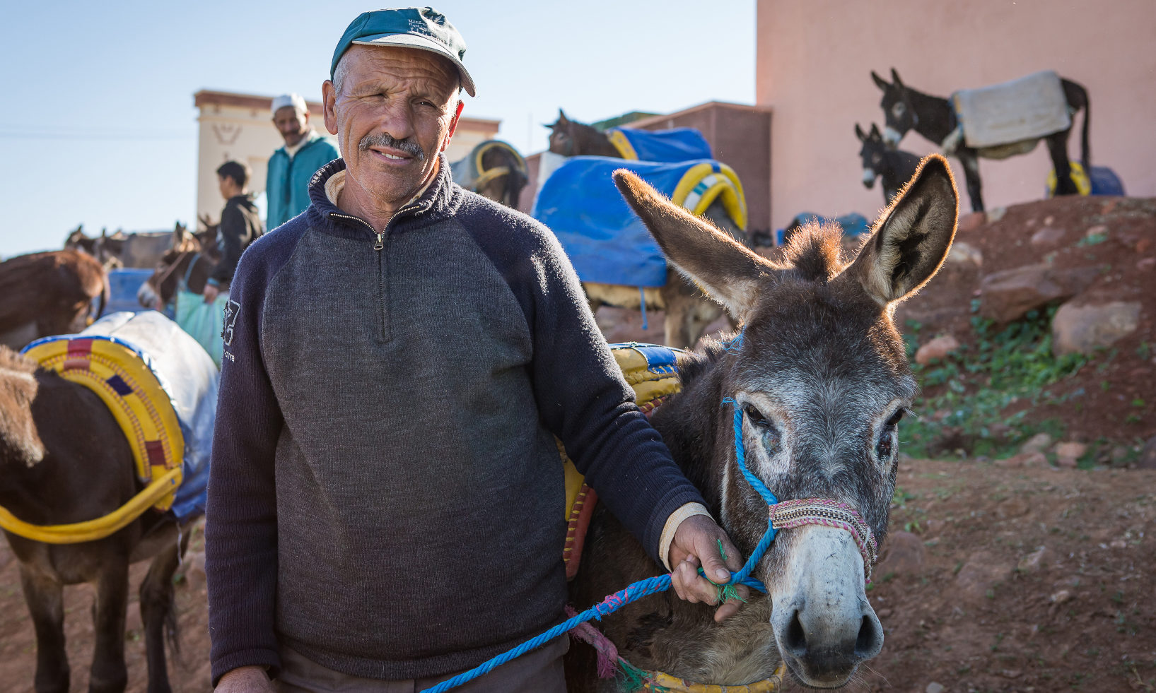Success Stories: Ahmina the Donkey's Infected Eye | SPANA