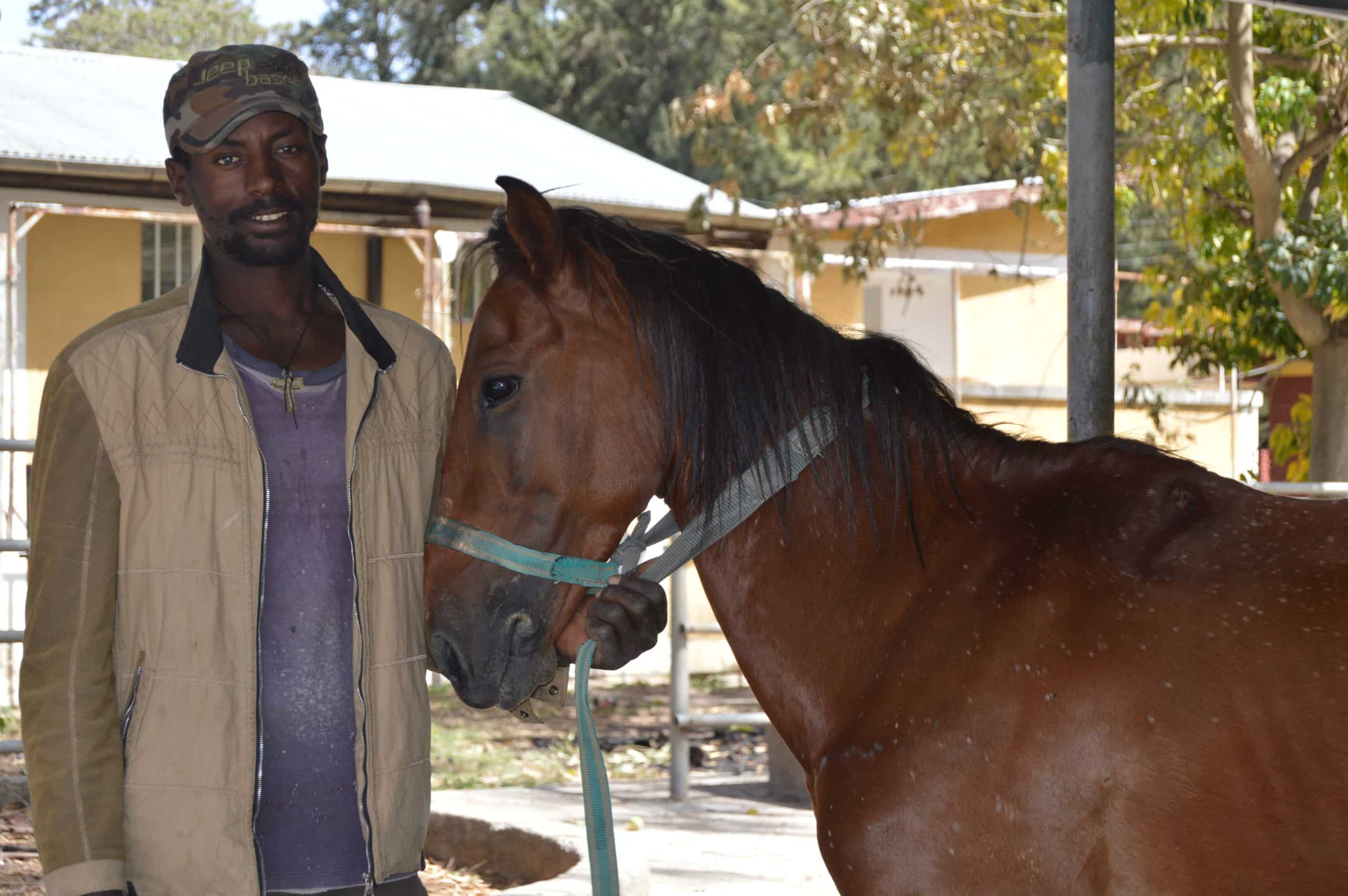 Miruts the horse’s urgent EZL treatment | SPANA