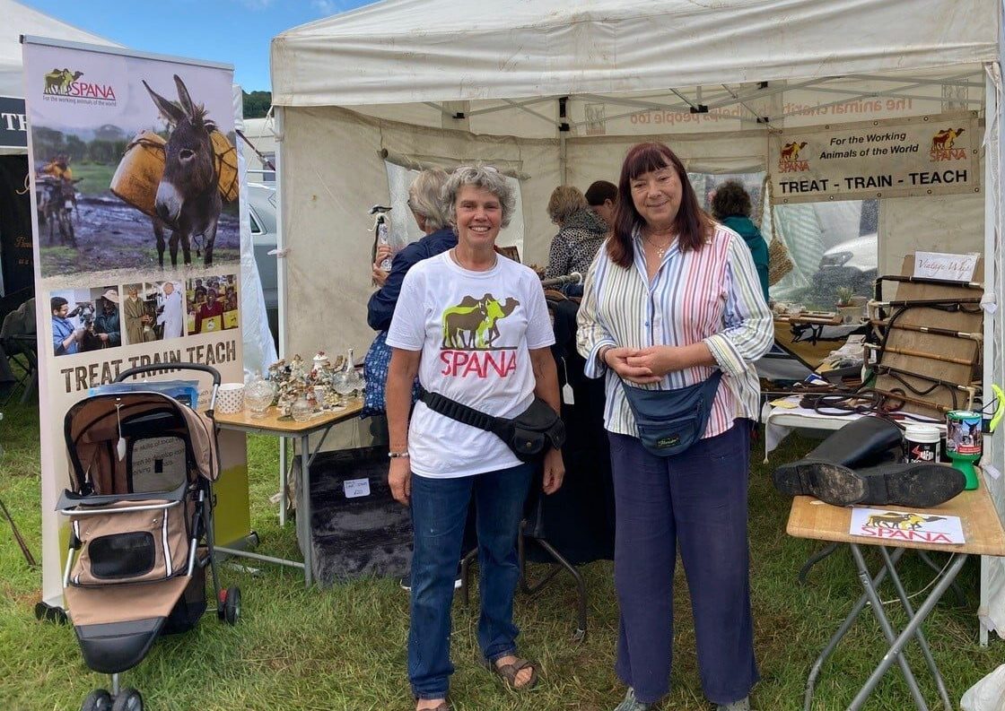 Keeping your SPANA fundraising safe and legal | SPANA