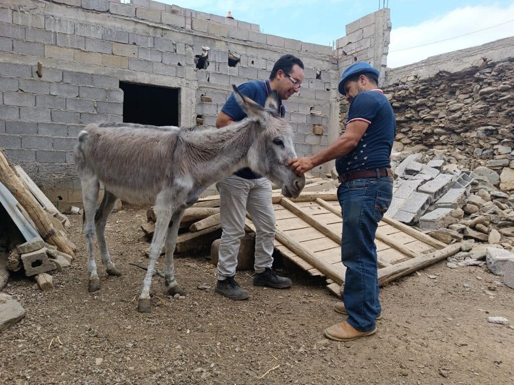 SPANA Responds To Morocco Earthquake Disaster | SPANA