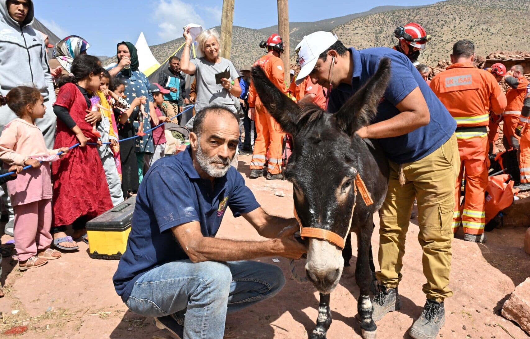 SPANA helps donkey trapped for seven days | SPANA