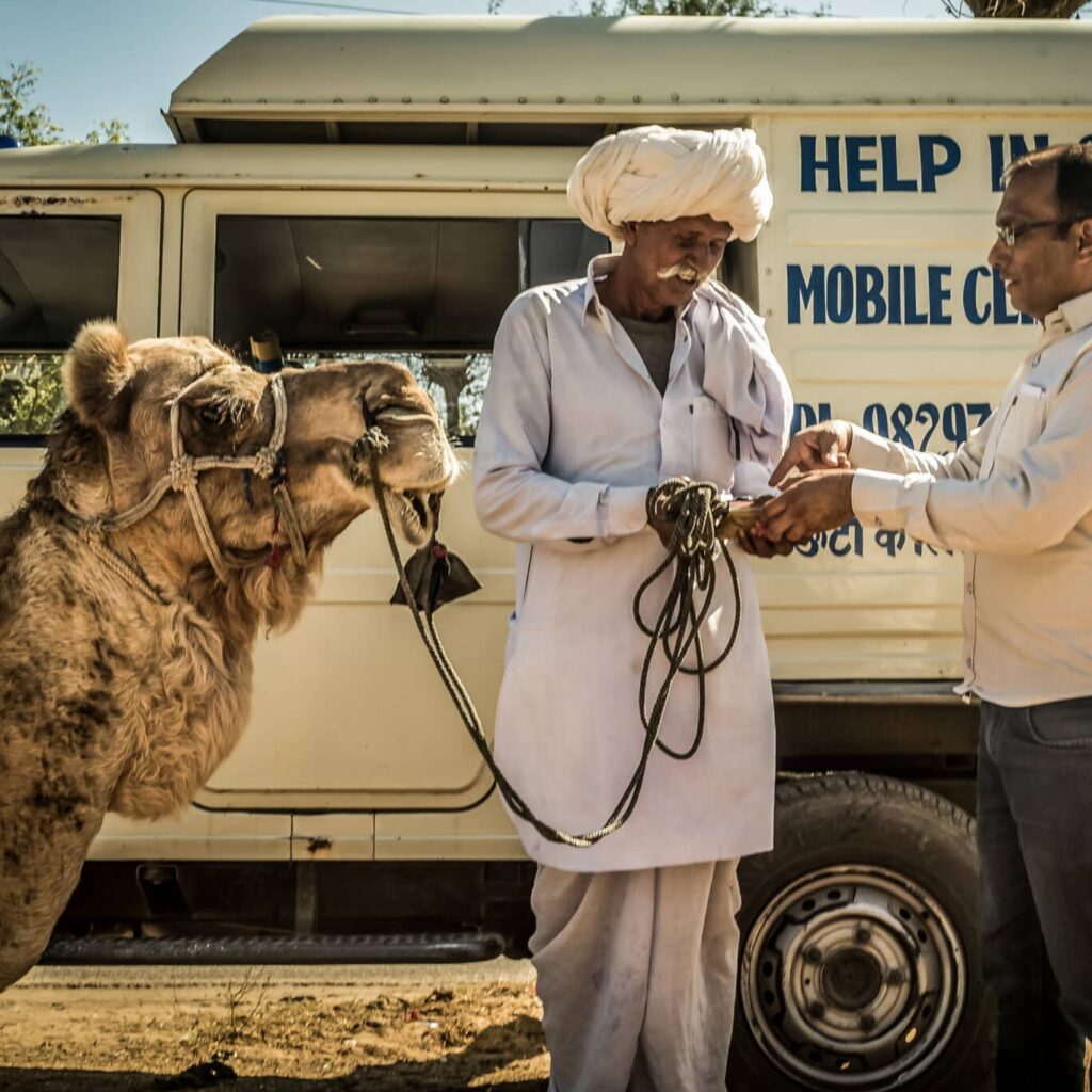 A history of SPANA: 100 years of working animal welfare | SPANA