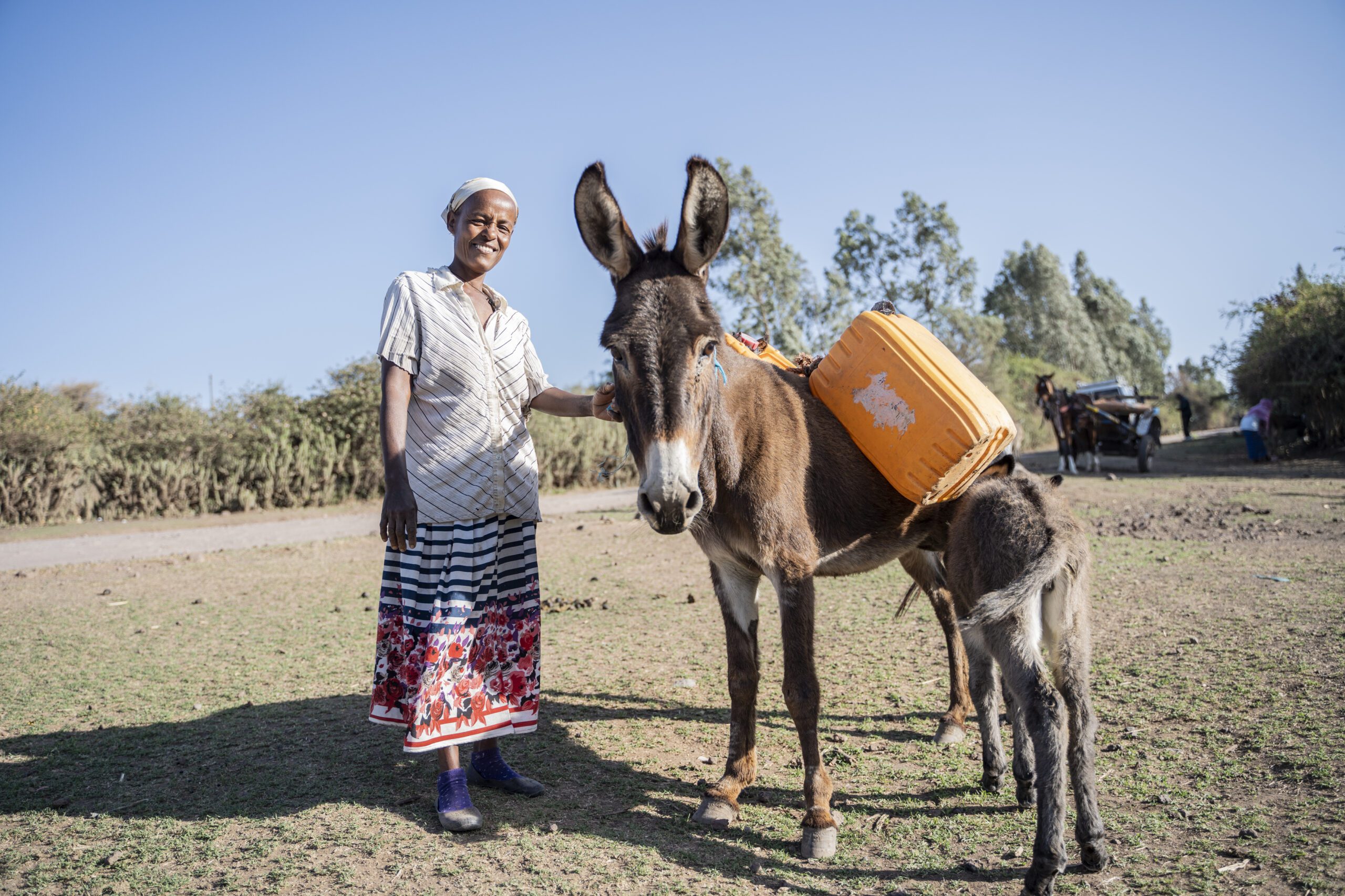 SPANA’s ambassadors and celebrity supporters call on global leaders to ...