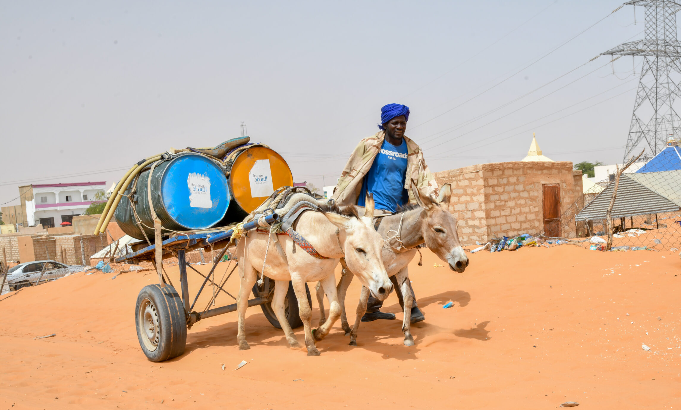 International Working Animal Day: UK public prioritise water for pets ...